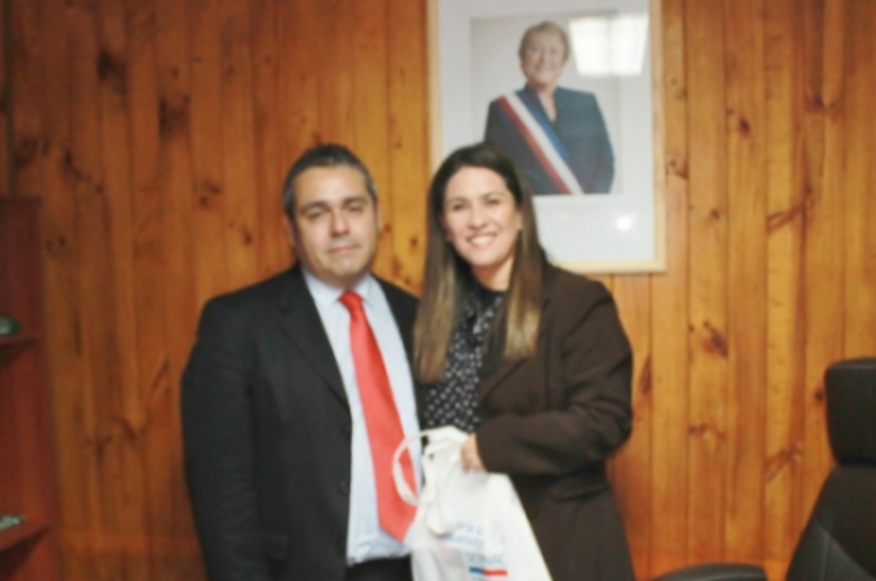 Los Lagos: Director Regional se reunió con diputada Jenny Álvarez por ...