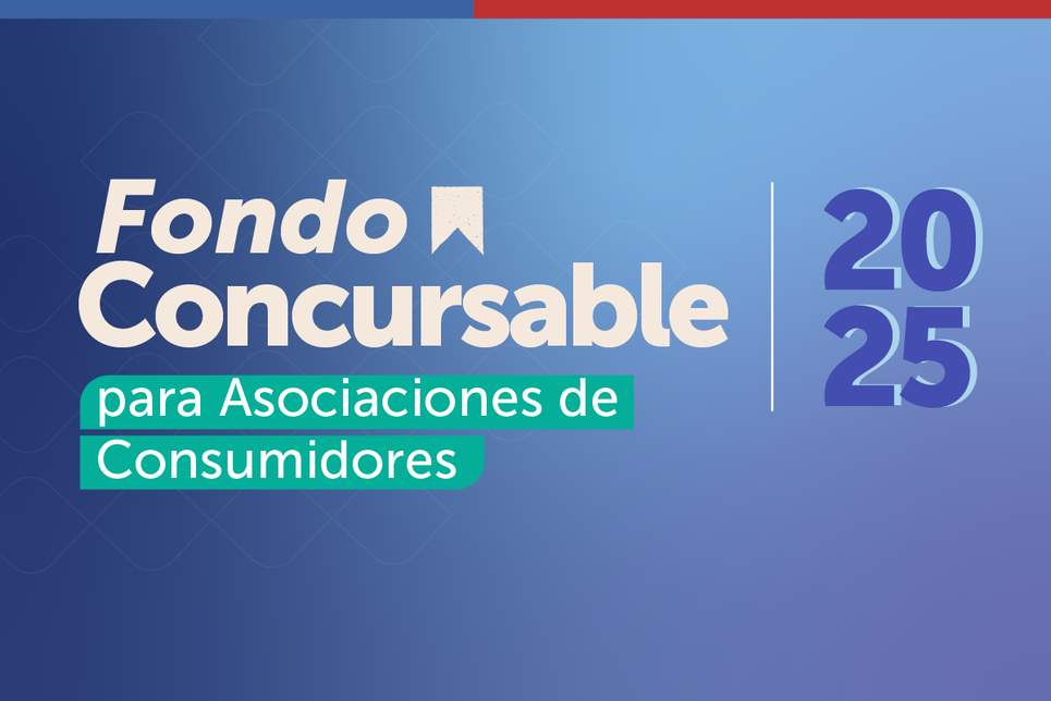 SERNAC destaca proyectos de Fondos Concursables 2024 y abre Llamado a ...